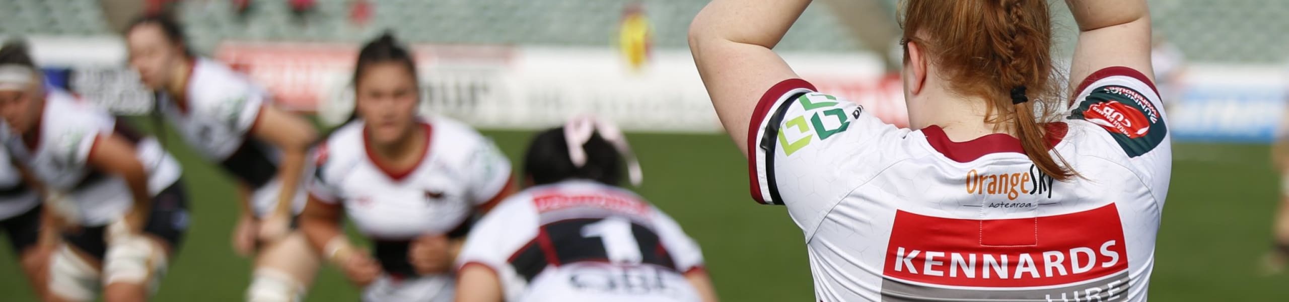 North Harbour Rugby Union - PLAYER APPEARANCES