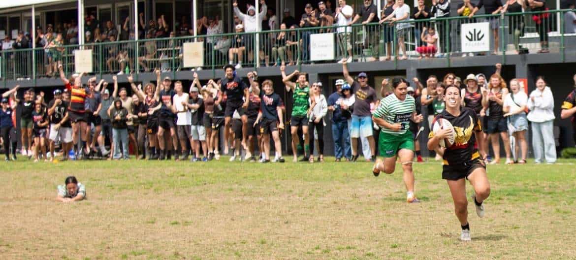 North Harbour Rugby News