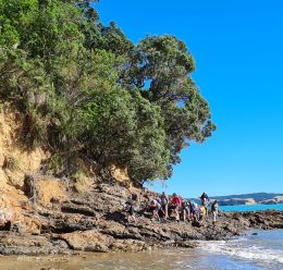 TRIP SNIP: Tawhitokino Regional Park, Tuesday 15 February 2022