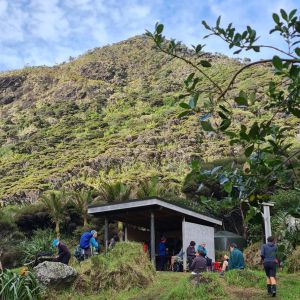 TRIP SNIP: Whatipu-Gibbons/Muir, Tuesday 2 August 2022