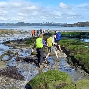 TRIP SNIP: Laingholm Bush and Beach, Tuesday 9 August 2022