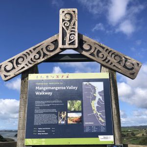 TRIP SNIP: Point View/Mangemangeroa, Tuesday 23 August 2022