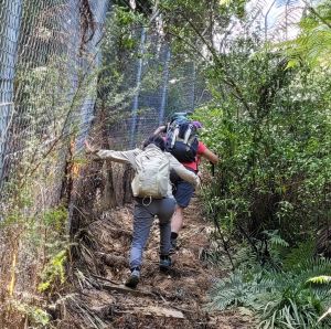 TRIP SNIP: Little Shoal Bay to Kauri Pt and Chatswood, Thursday 8 ...