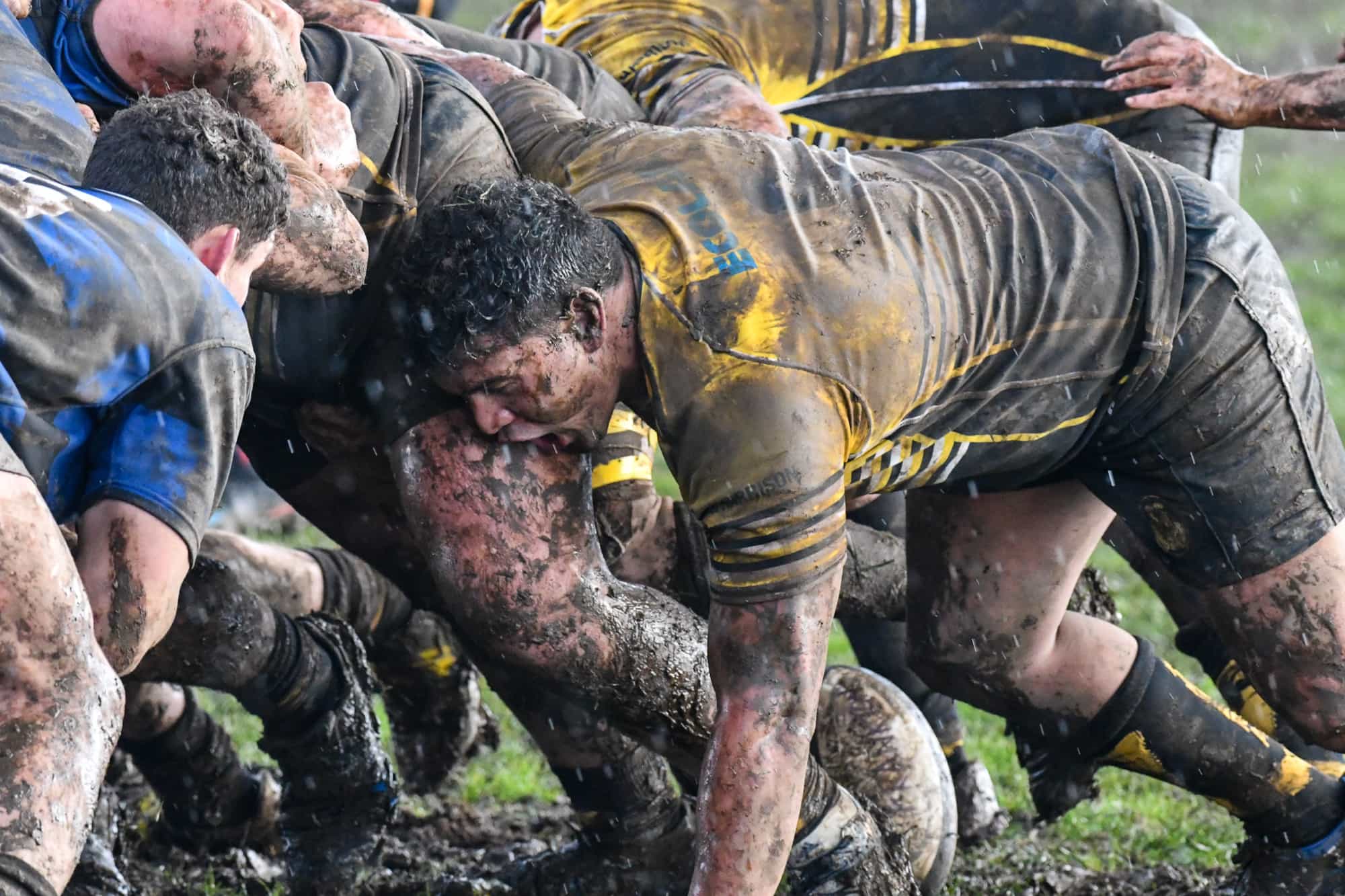 CLUB RUGBY | Weekly Wrap - 17th June