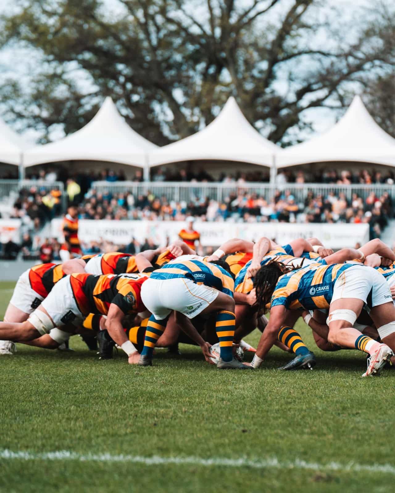 Match Report NPC: Bay of Plenty Steamers 19 Waikato 15