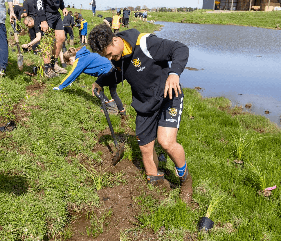 Manukorihi and Matapu students and Yarrows Taranaki Bulls players muck ...