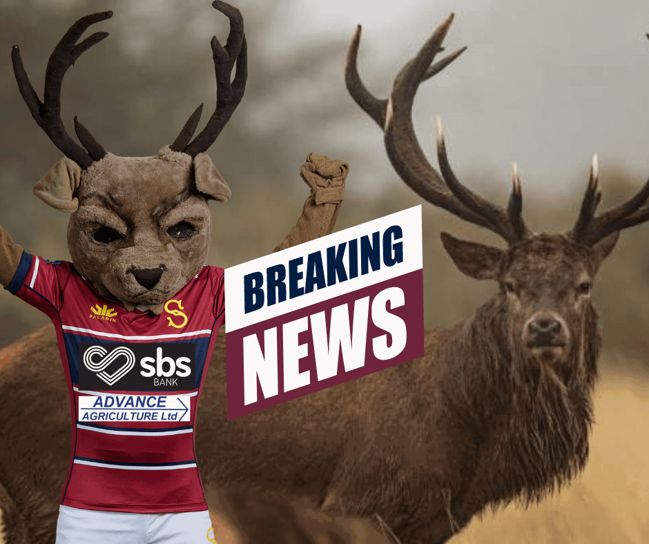 SBS Bank Southland Stags Mascot Set for Lively Upgrade