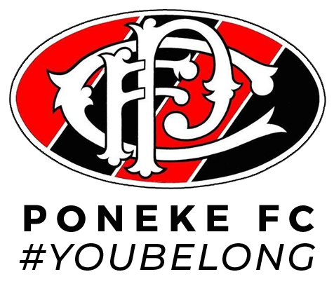 Pōneke FC - Overview
