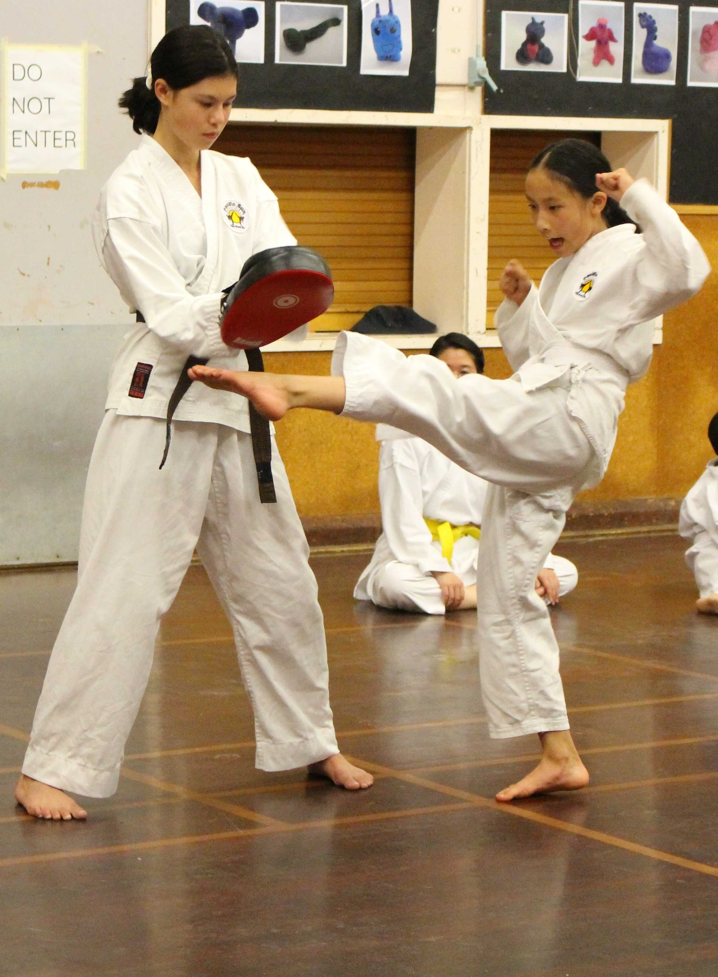 Pacific Sun TKD - Home