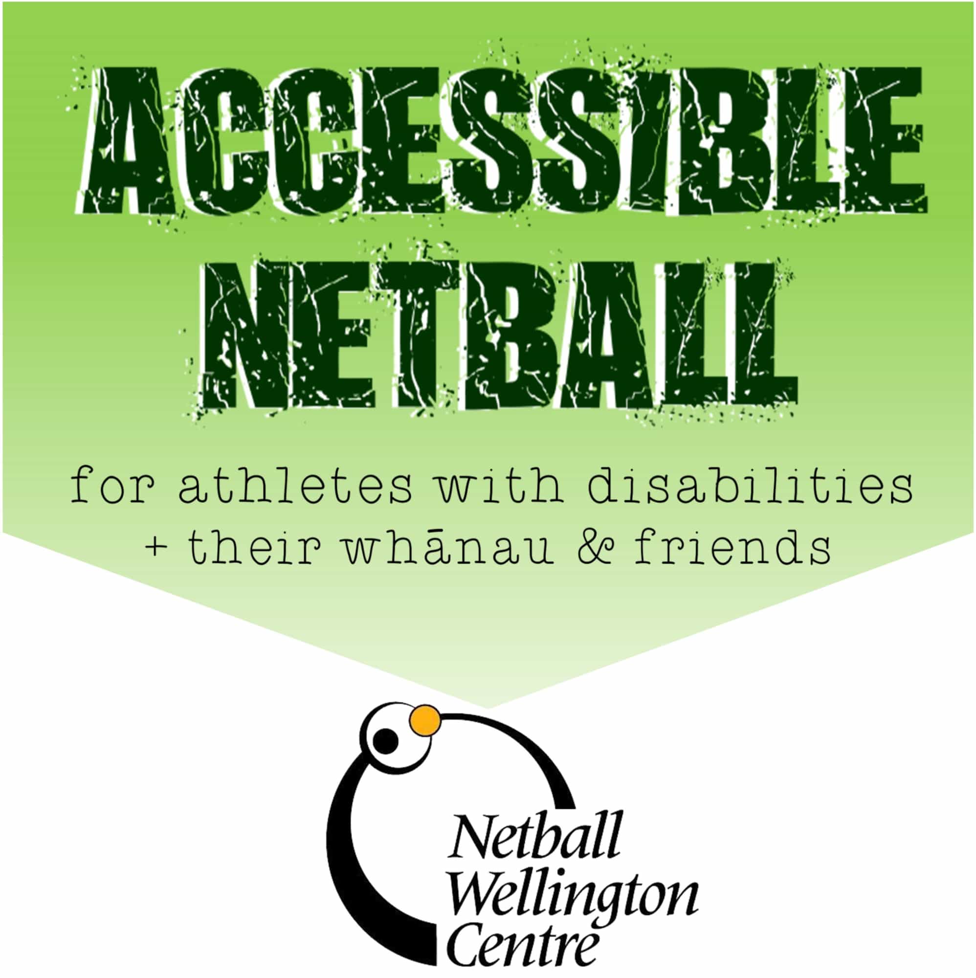 Accessible Netball for athletes with disabilities + their whānau ...