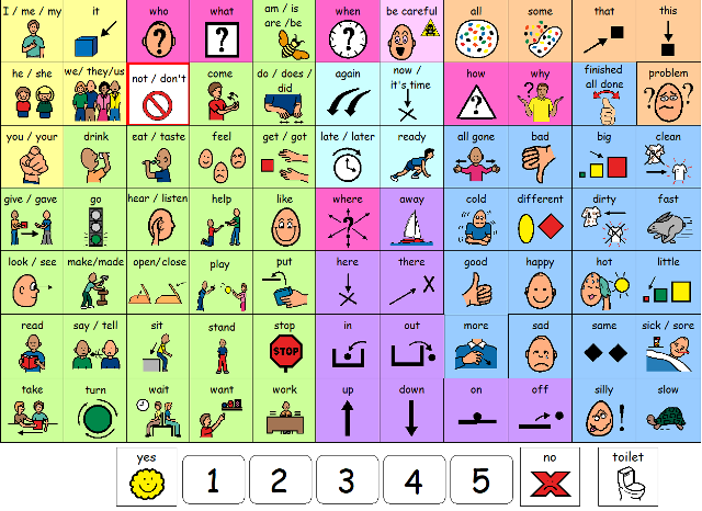 Netball Waitākere - All Access, Adaptive Netball Programme