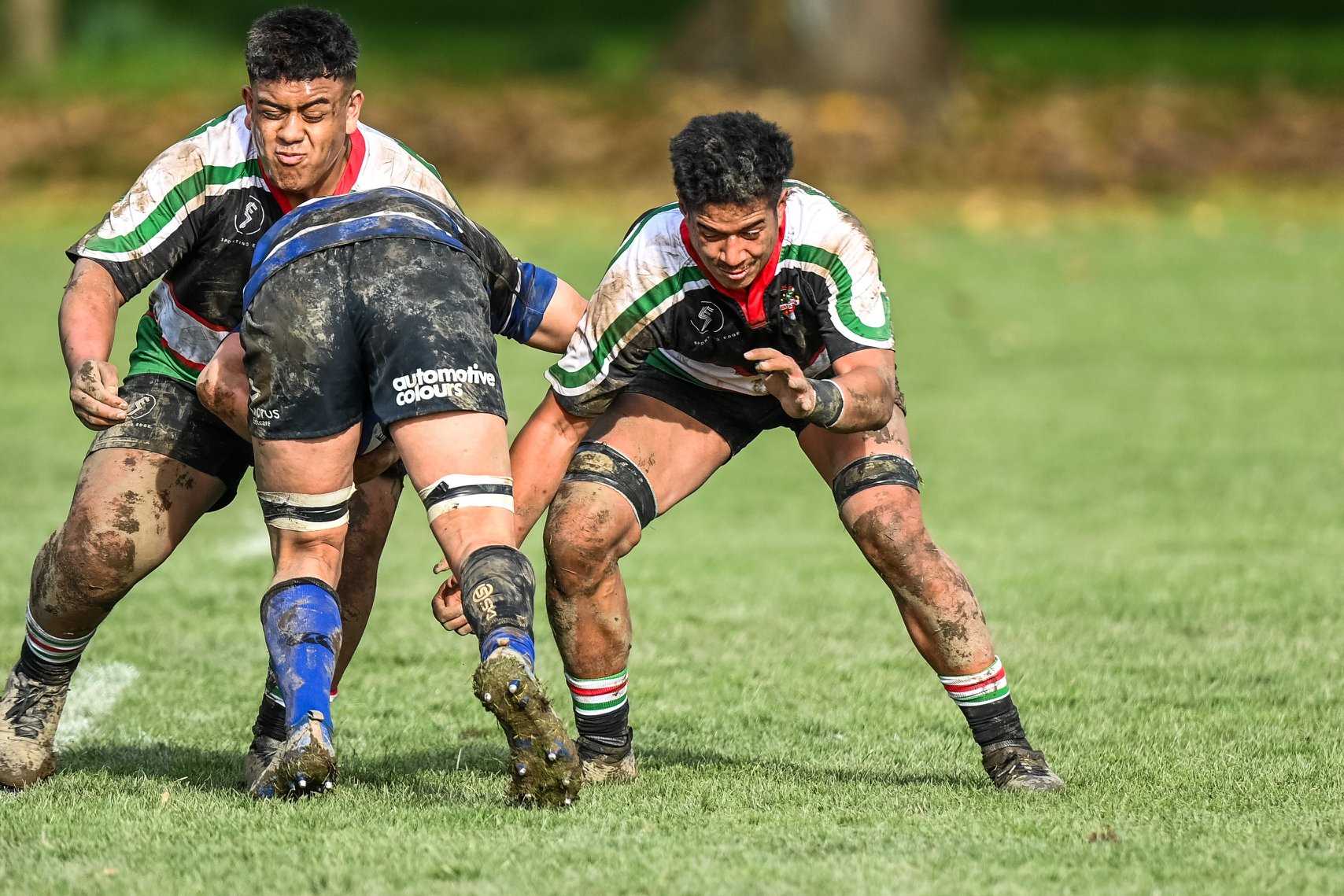 Marist Albion RFC - Season Information