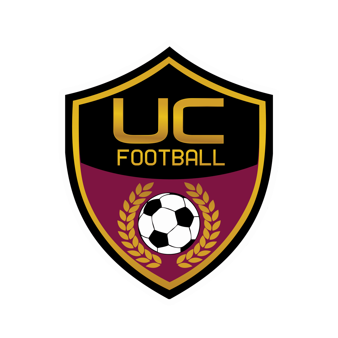 Mainland Football - Morrison Mitsubishi Reta Fitzpatrick Cup