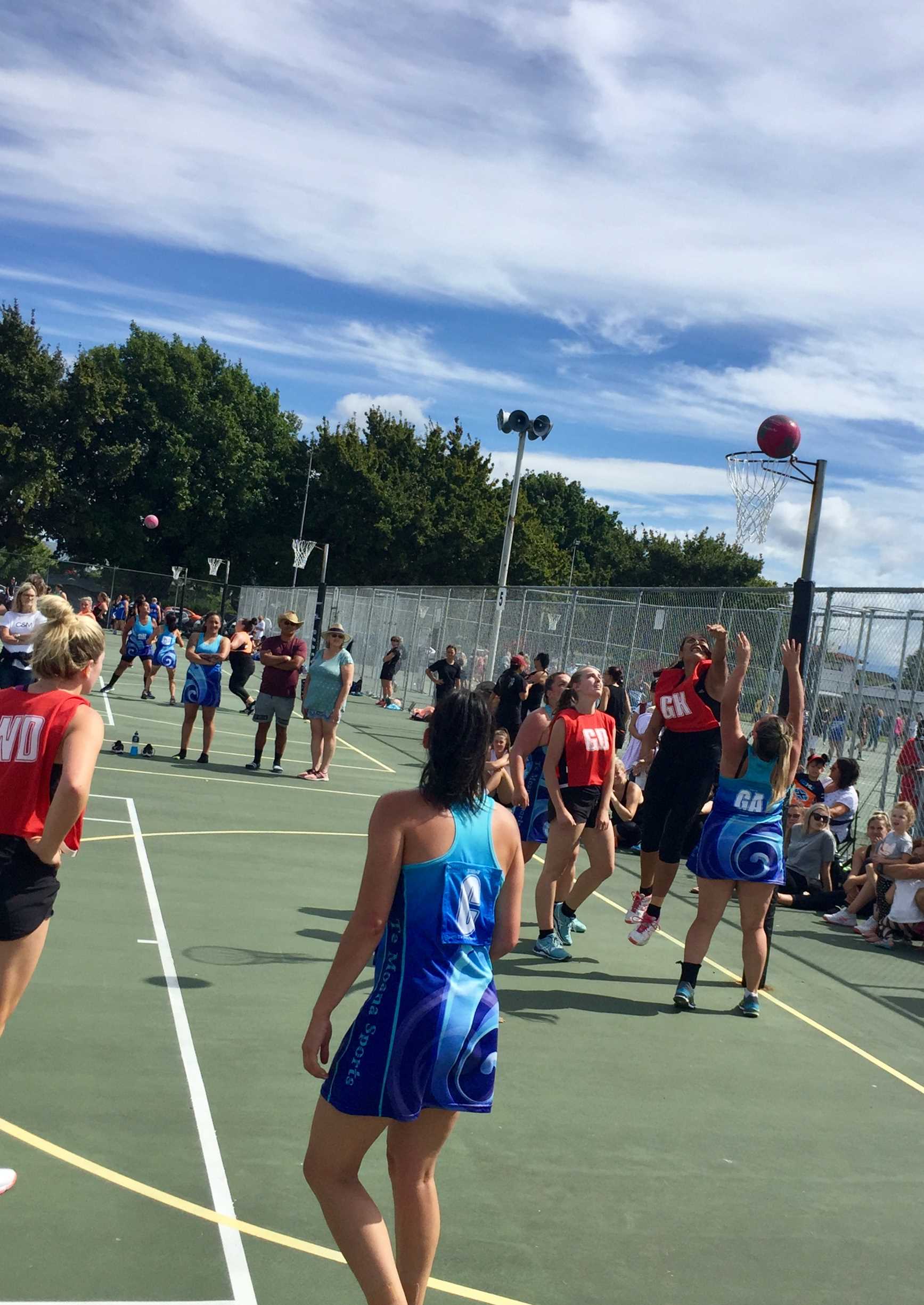 Hawke's Bay Netball - LOWSON COLLINS