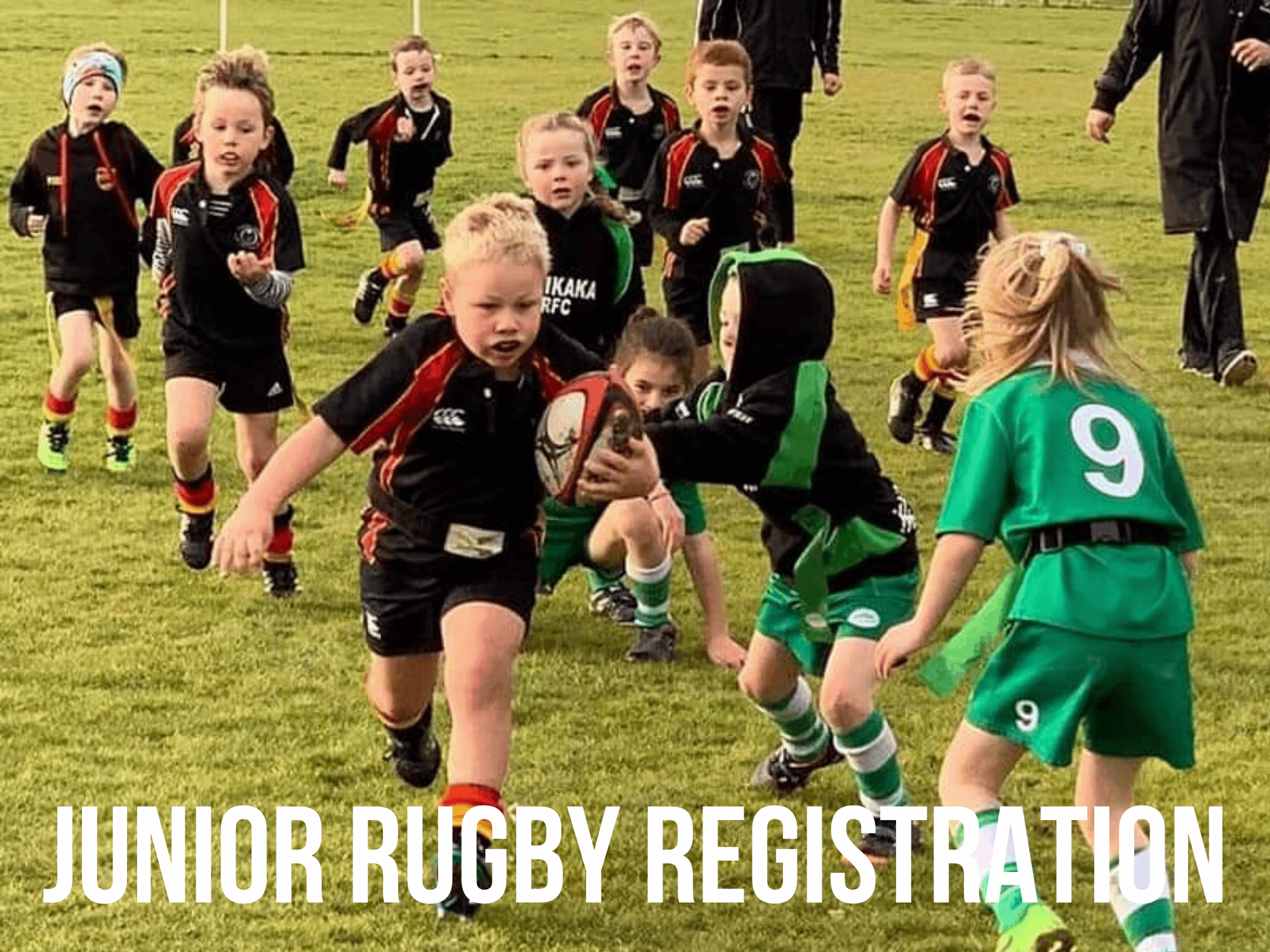 Albion Rugby Club Gore - Home