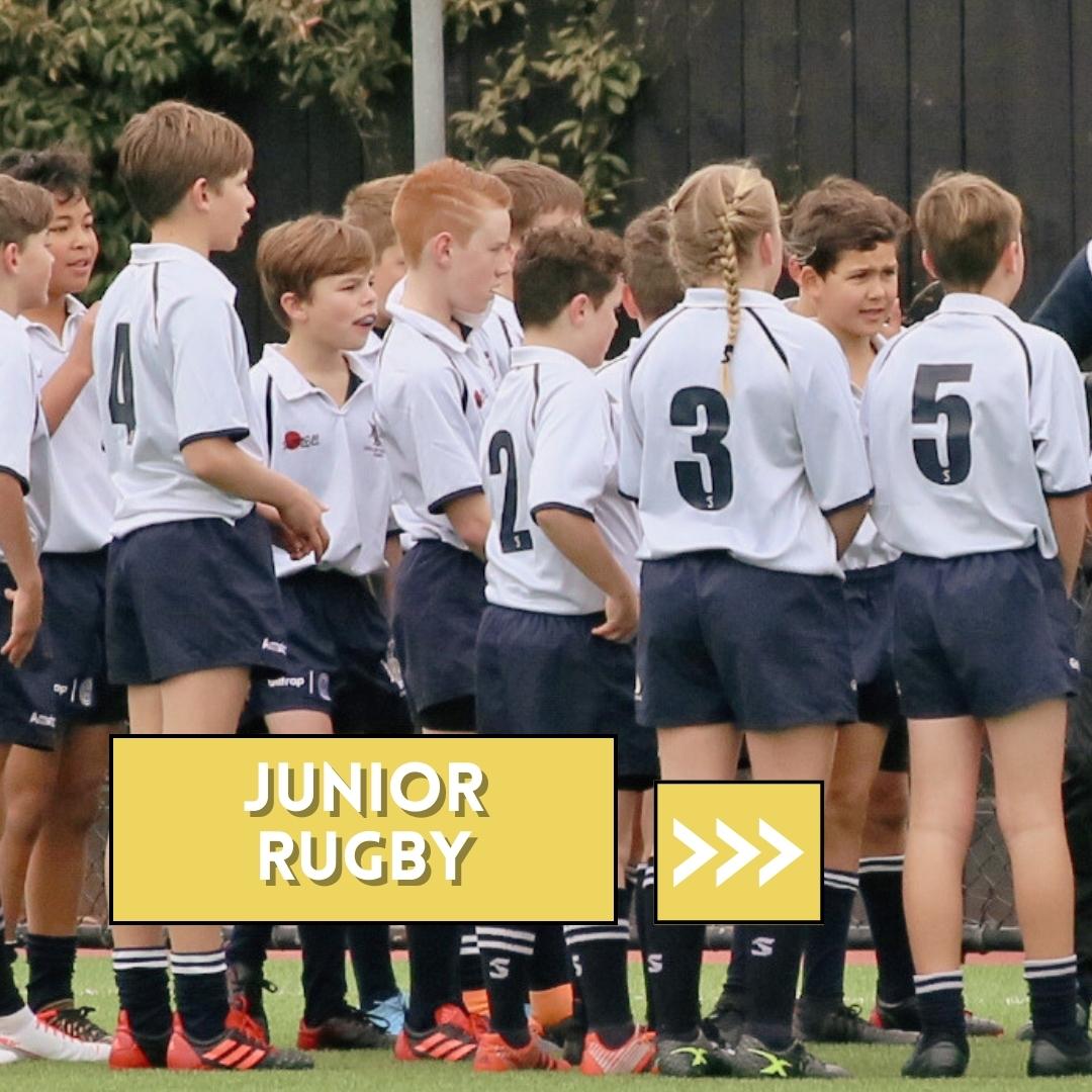 College Rifles Rugby Football Club - Home