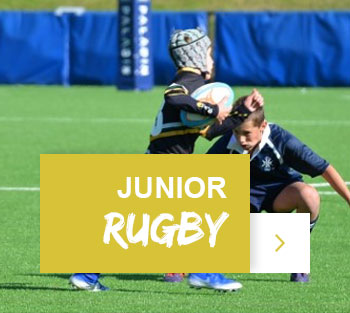 College Rifles Rugby Football Club - Home